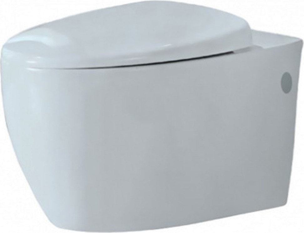 Чаша унитаза с крышкой soft-close Jaquar Vignette Prime VGS-WHT-81953 ...